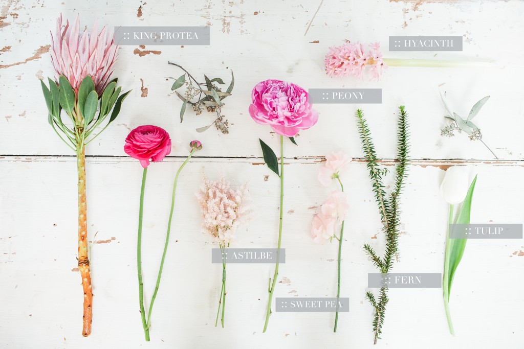Spring and Summer Flower Guide - Sarah Jayne Photography